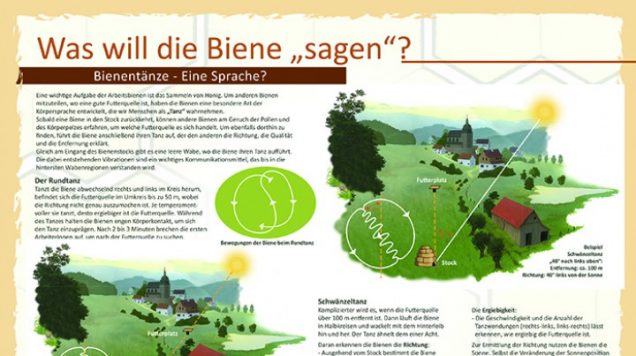 Die Honigbiene › Natur im Bild