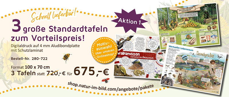 3 auf einen Streich Aktion 1 – Natur im Bild